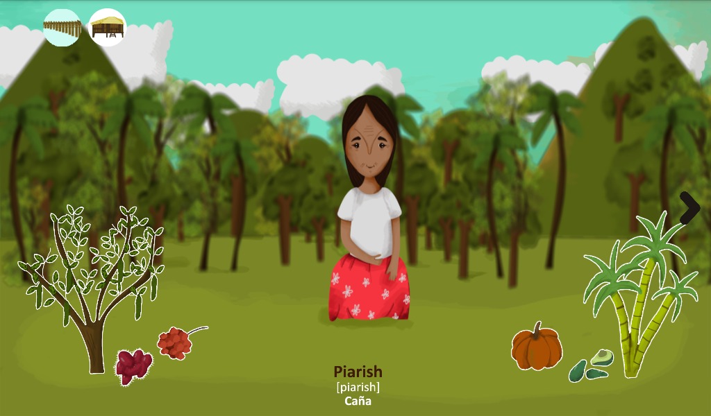 “ɨnkal Awá Su”, la primera app para aprender awapit| Radiónica