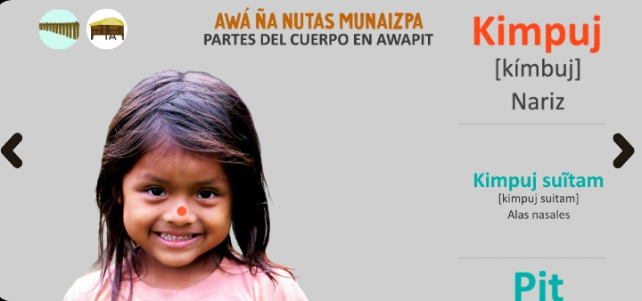 “ɨnkal Awá Su”, la primera app para aprender awapit| Radiónica