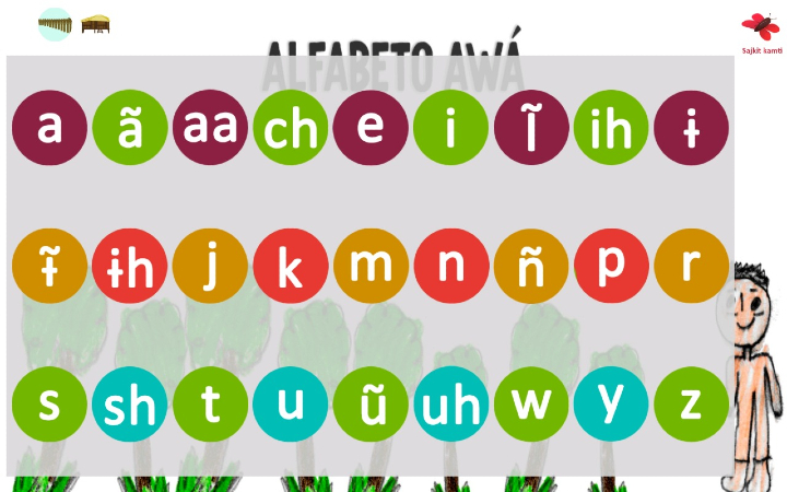 “ɨnkal Awá Su”, la primera app para aprender awapit| Radiónica