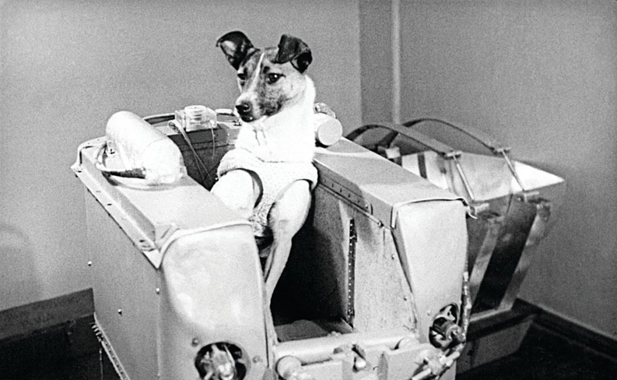 La historia de Laika: la perrita que viajó y murió en el espacio