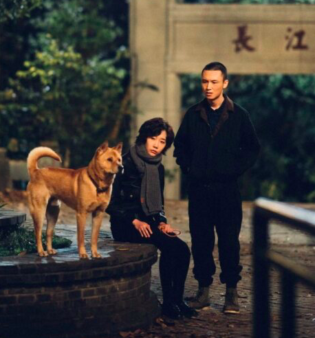 'Hachiko 2': la historia del perro más leal y tierno vuelve al cine ...