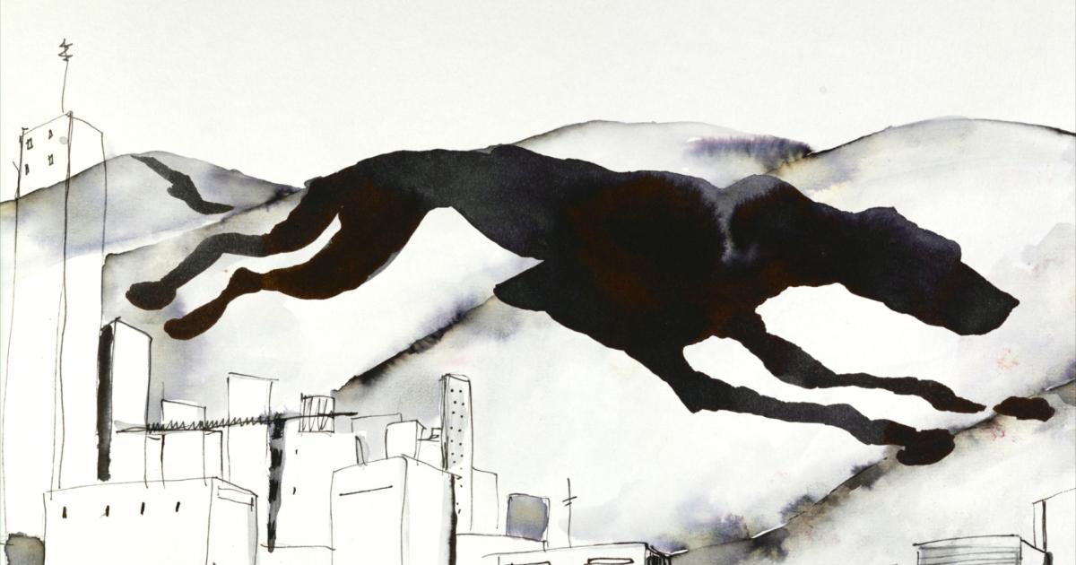 ‘La Perra’, el cortometraje colombiano que ya hace historia este año en ...