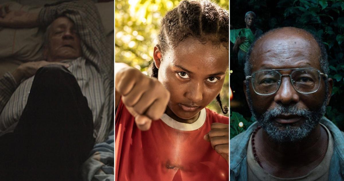 FICCI 2024: selección oficial de Colombia | Radiónica