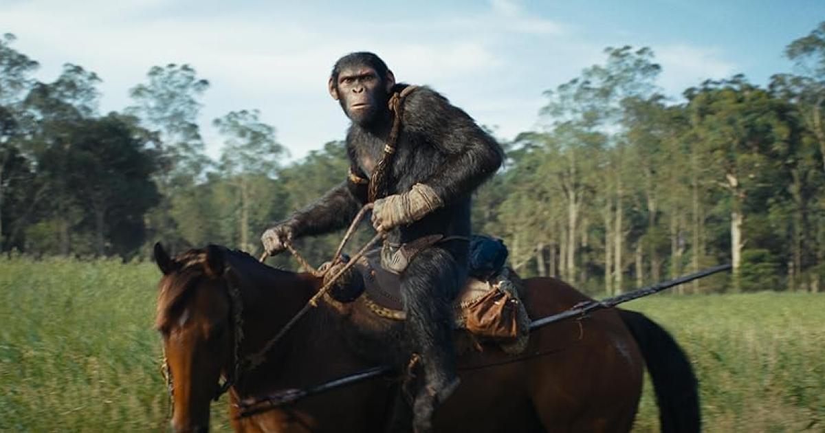 'El Planeta de los Simios: El Nuevo Reino' (Reseña sin spoilers ...