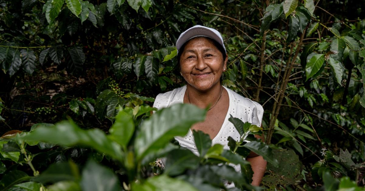 Proyectos de mujeres defensoras del medio ambiente | Radiónica