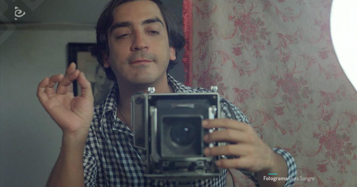 Carlos Mayolo y Caliwood: películas que puedes ver gratis online