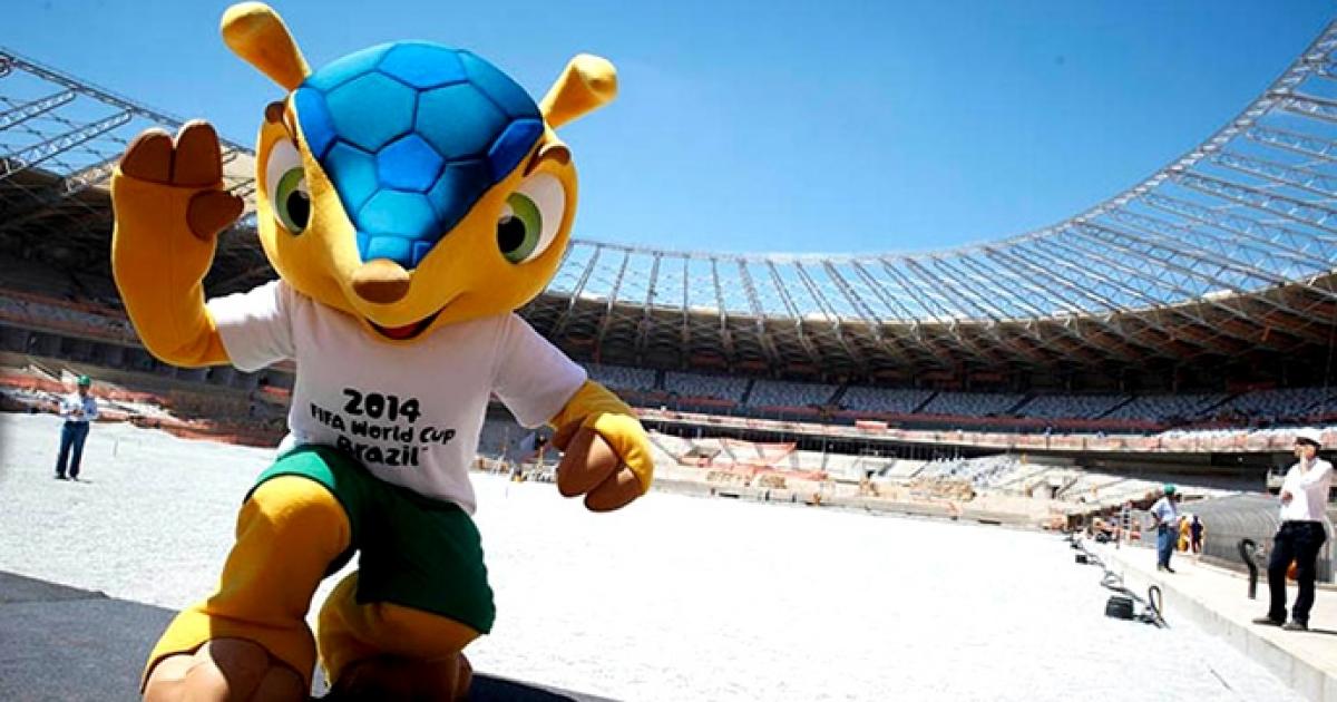 "Fuleco" podría desaparecer pronto