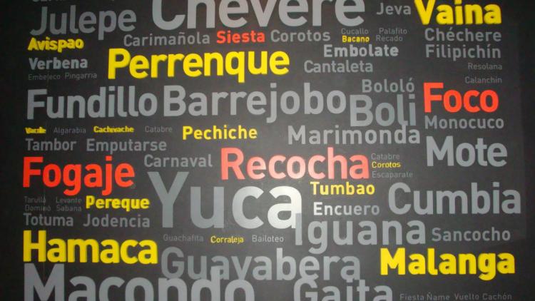 que significa vaina para los colombianos