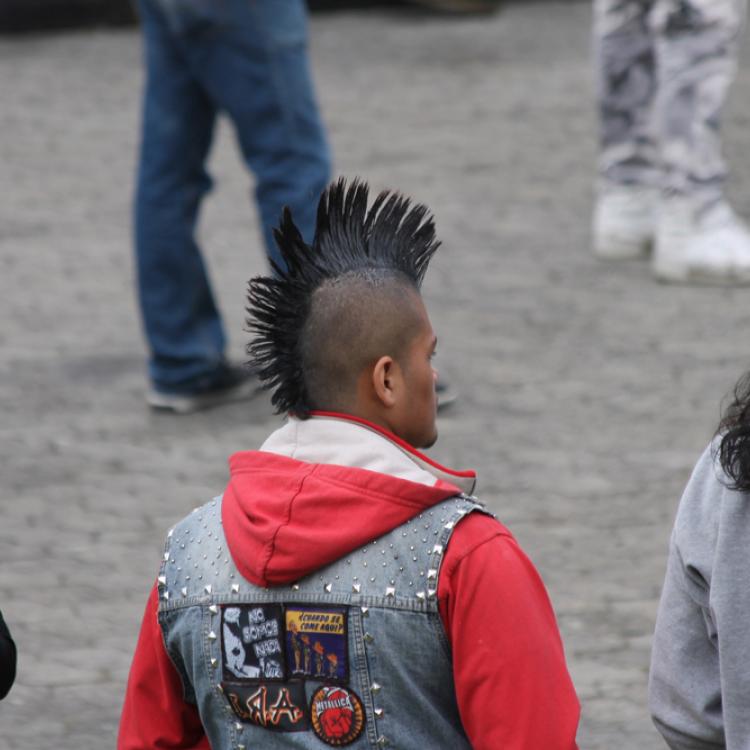 El punk no ha muerto [Galería de crestas] | Radiónica